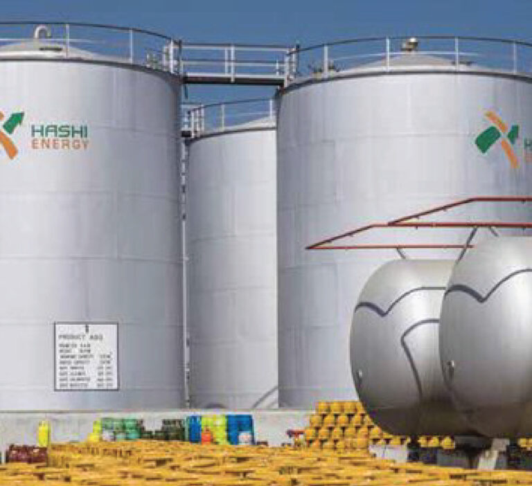 Projects – Page 2 – Synergetic Consulting